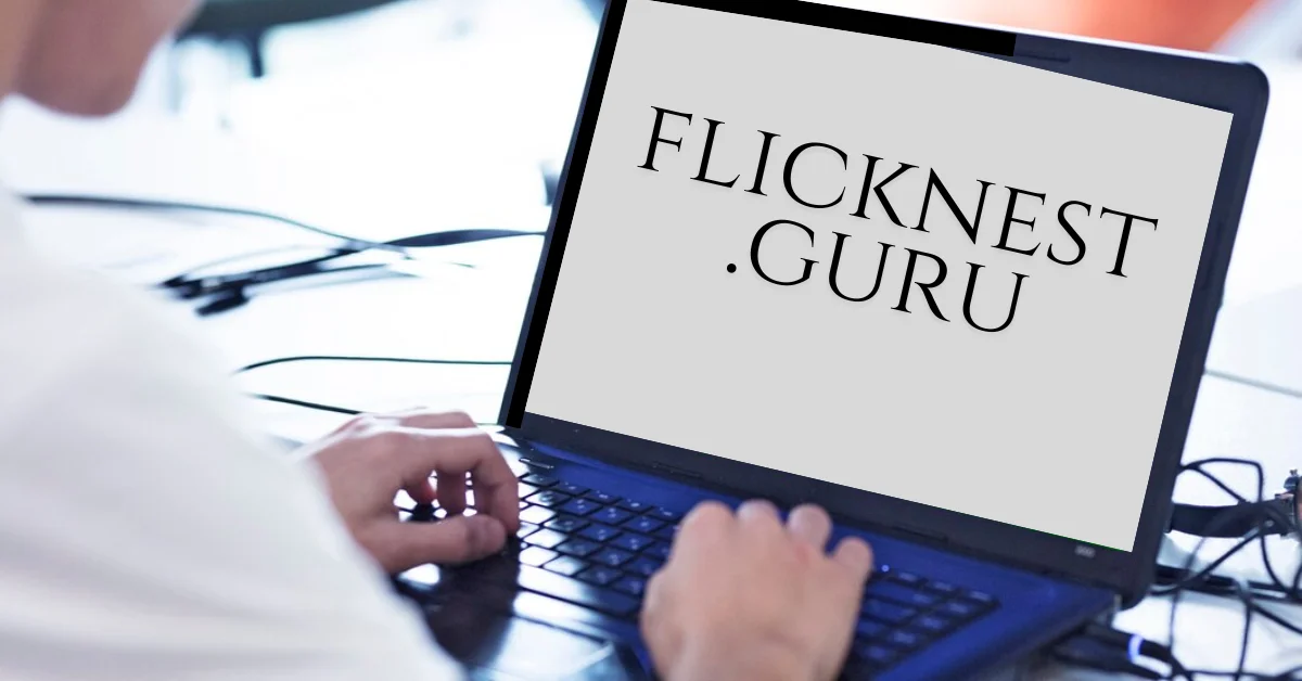 flicknest.guru: The Creator’s Quiet Engine